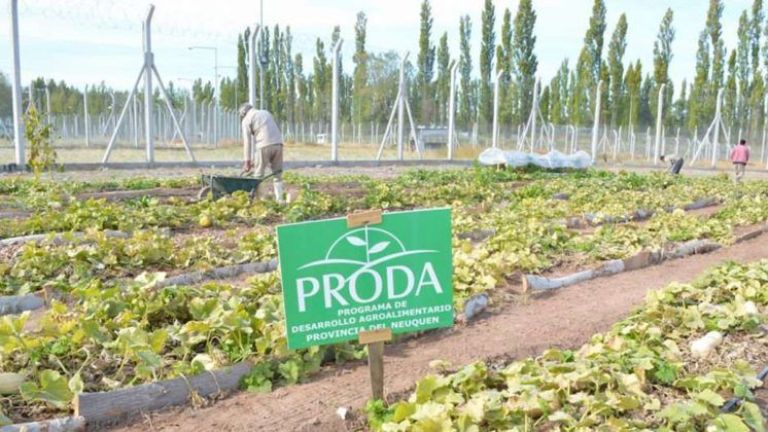 Resaltan el trabajo del programa agroalimentario Proda durante 22 años ...