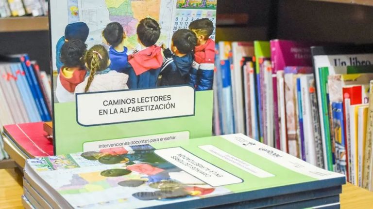 Nuevo libro para trabajar la lectura en el nivel inicial y primario ...